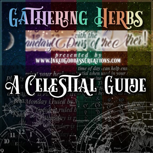 Gathering Herbs: A Celestial Guide for Magickal Plants