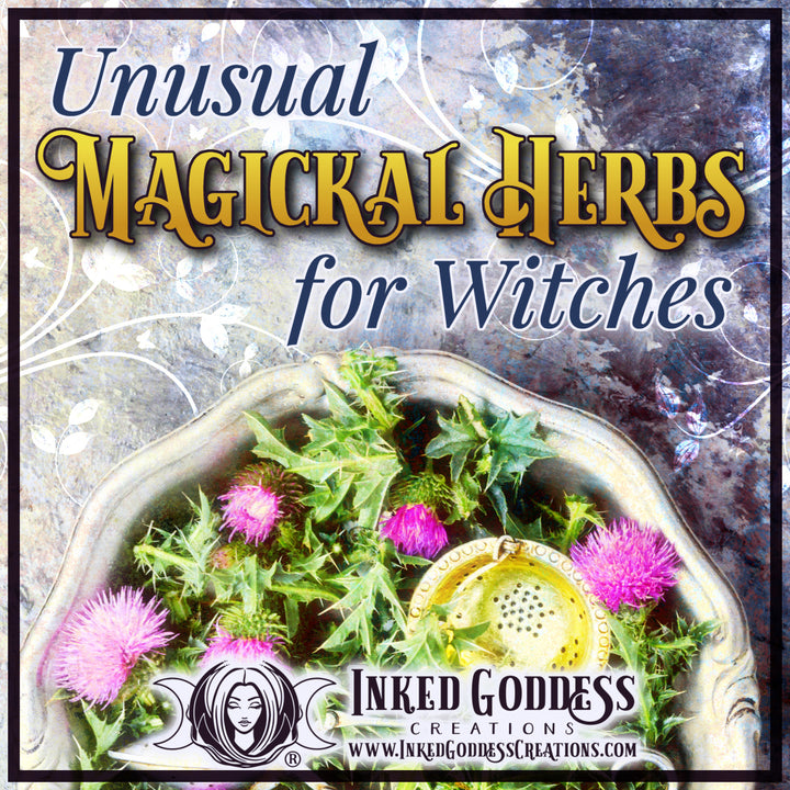 Uncommon Magickal Herbs for Witches – Inked Goddess Creations